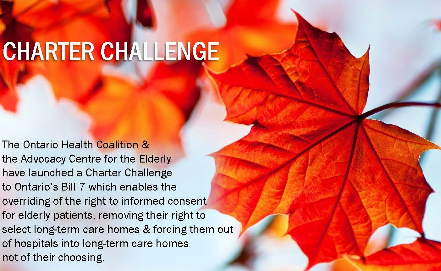 "More Beds, Better Care Act" (Bill 7) Charter Challenge - The Advocacy ...